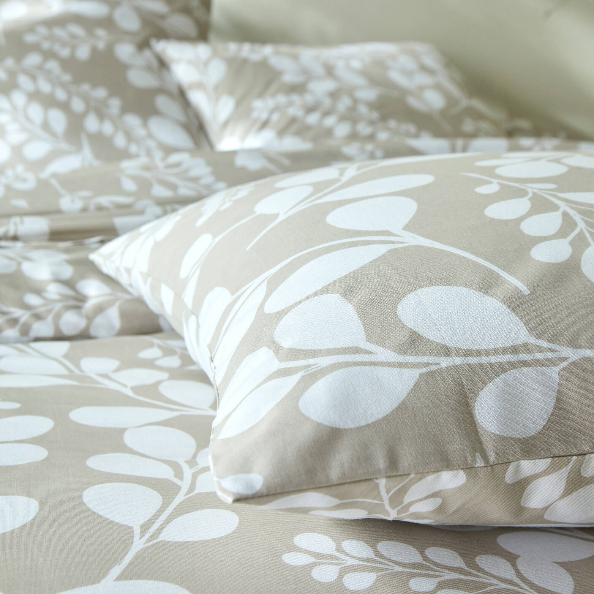 Drap plat pas cher | Blancheporte