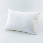 Oreiller qualité hôtellerie lavages intensifs, blanc | Blancheporte